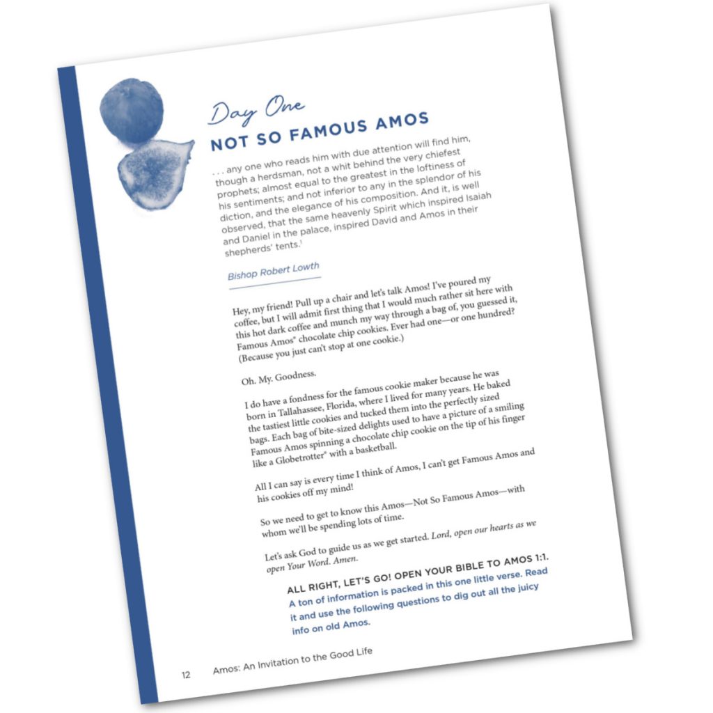 Amos: An Invitation to the Good Life [Video-based Bible Study ...