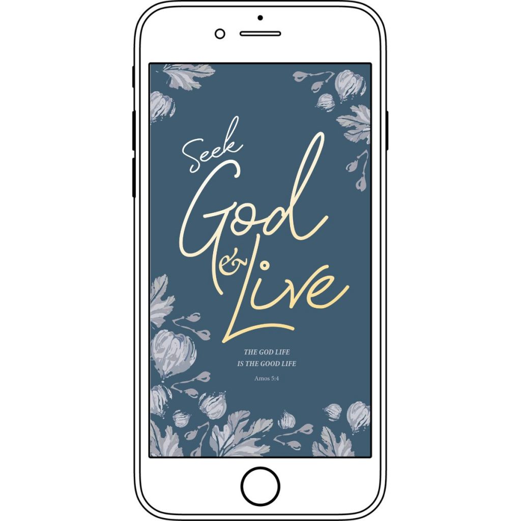 Amos: An Invitation to the Good Life [Video-based Bible Study ...