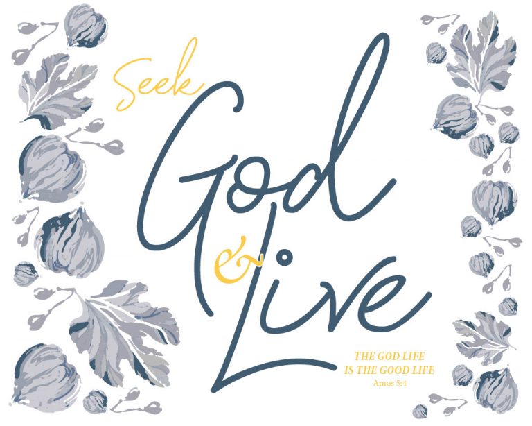 Amos: An Invitation to the Good Life [Video-based Bible Study ...