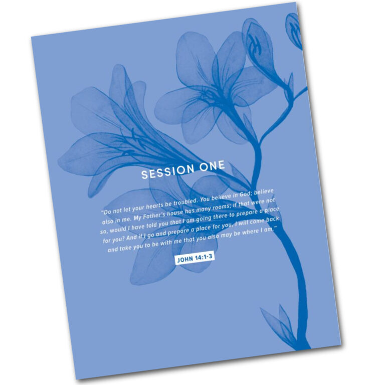 Heaven Bible Study - FREE Access to the Intro Session + First Week of Study